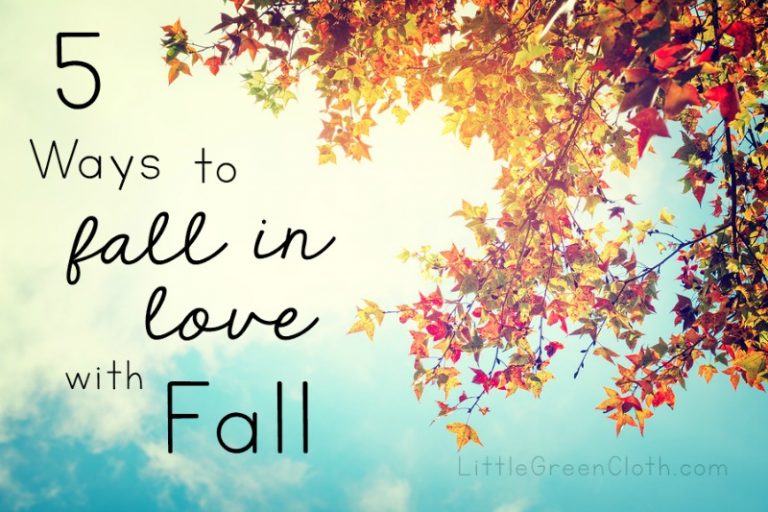 The Top Five Ways to Fall in Love with Fall - Little Green Cloth
