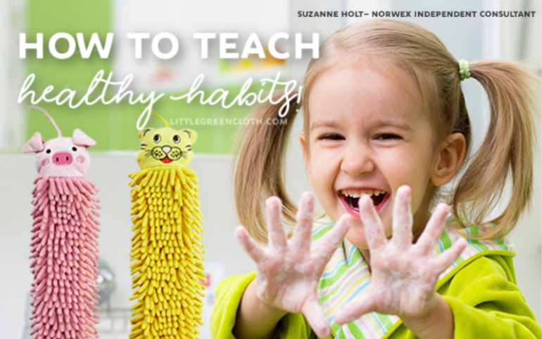 Healthy Hand Washing. Norwex has the solution!