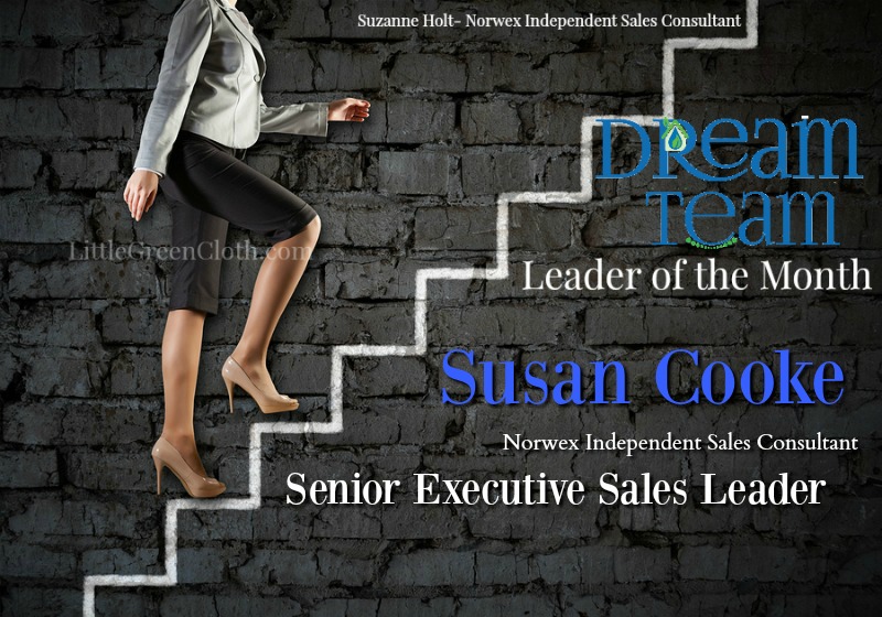 Dream Team Leader of the Month: Susan Cooke