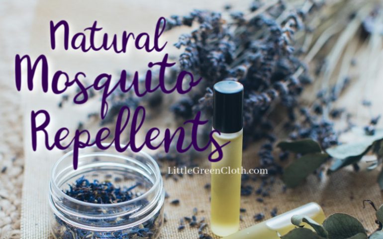 All Natural Mosquito Repellents to protect long-term health!