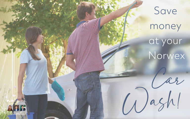 Save Money at your Norwex Car Wash! - Little Green Cloth